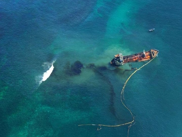 The Danger of Oil Spills in the Galapagos