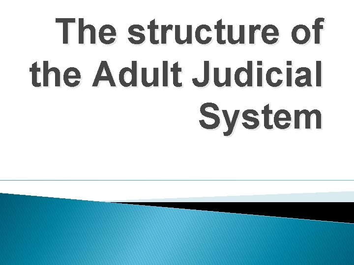 The structure of the Adult Judicial System Types