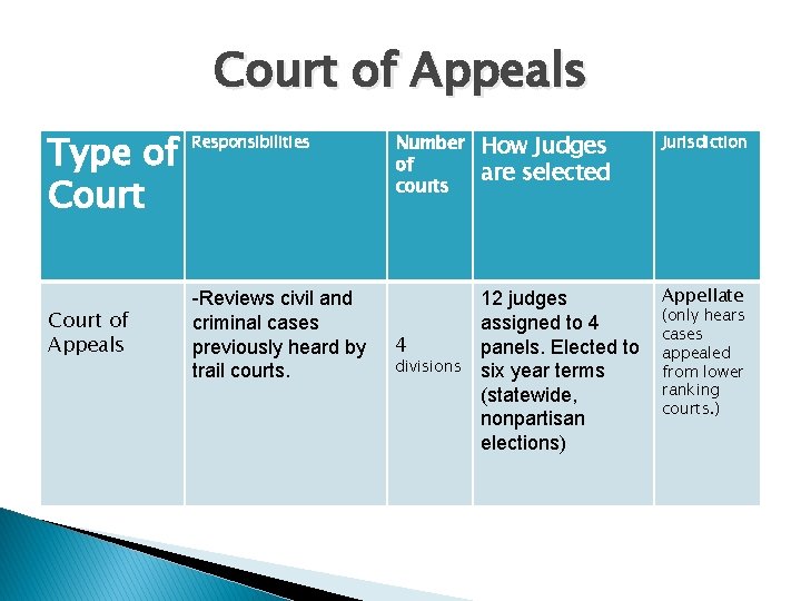 The structure of the Adult Judicial System Types