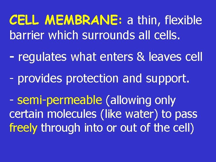 CELL MEMBRANE a thin flexible barrier which surrounds