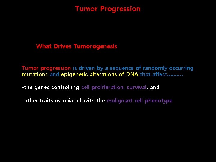 Tumor Progression Md Abdur Rakib Ph D Associate