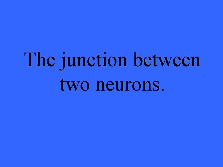 All about the Neuron The Mighty Neurological Neuroscience