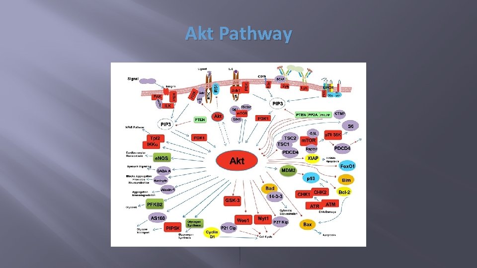 DETERMINATION OF A POSSIBLE MECHANISM FOR ACQUIRING CHEMOTHERAPY