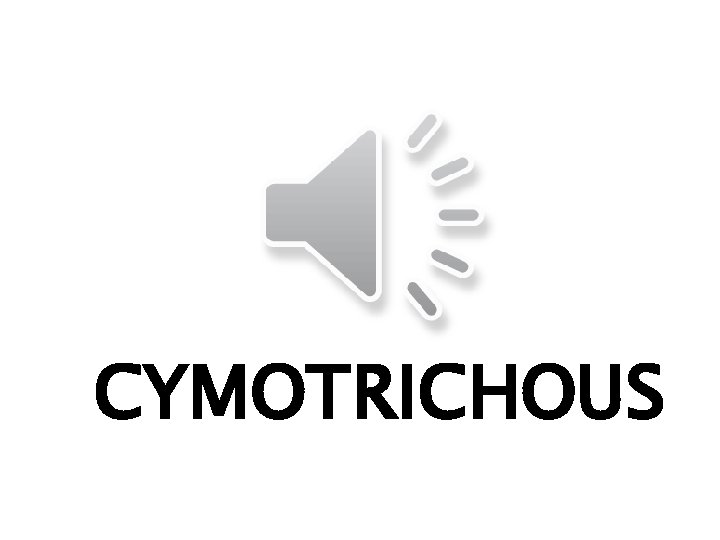 Spelling Bee Spelling Bee You will need to