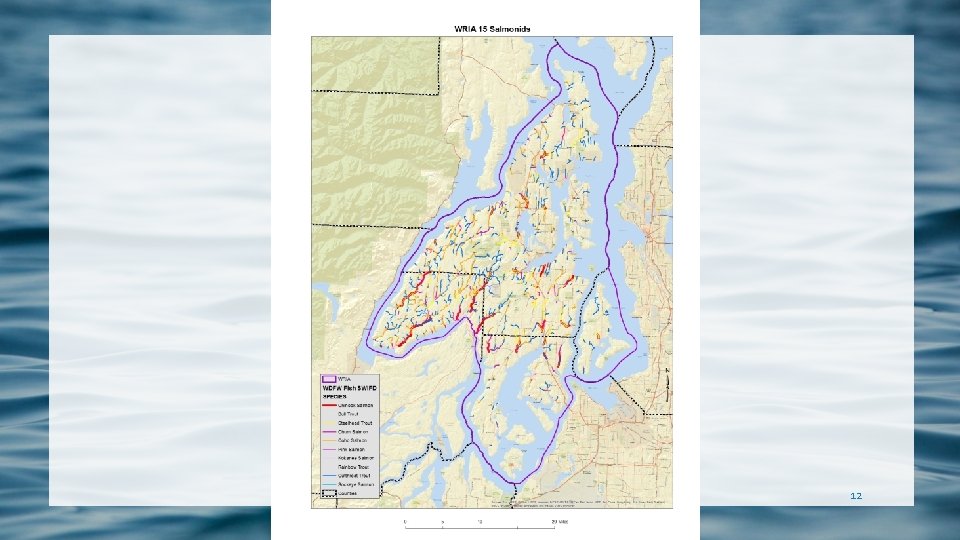 INTRO TO SUBBASINS WRIA 15 Streamflow Restoration Water
