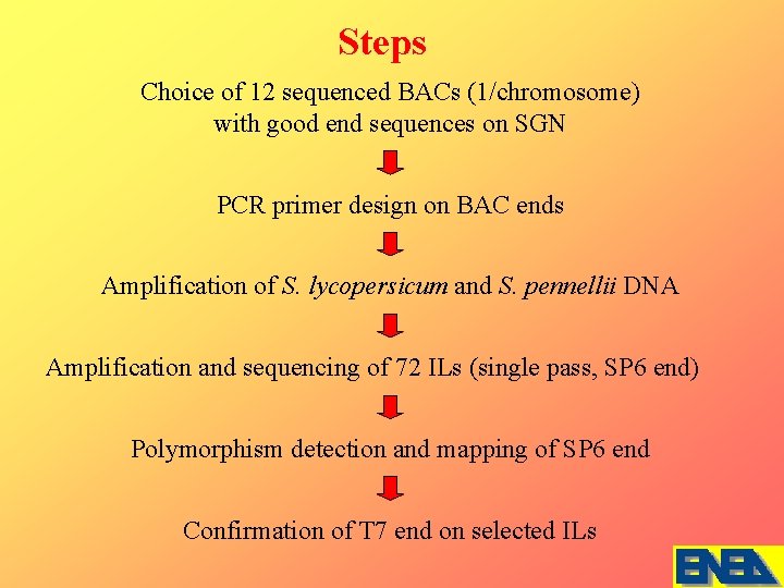 Validation of a procedure for BAC end mapping