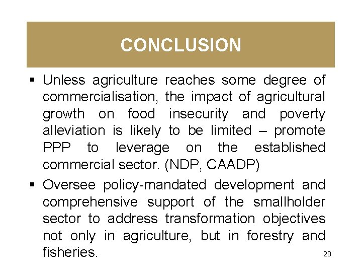 AN OVERVIEW OF THE AGRICULTURE FORESTRY FISHERIES SECTORS