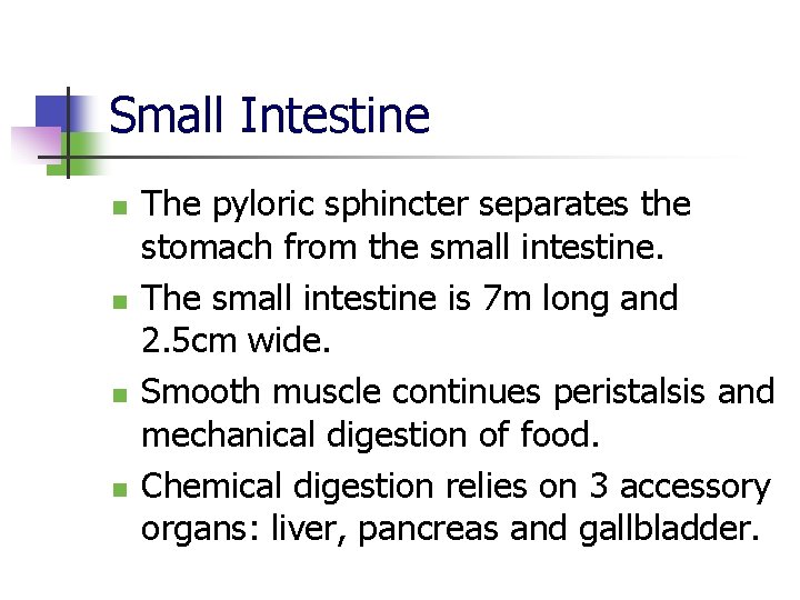 Digestive System Digestion n Three main functions n