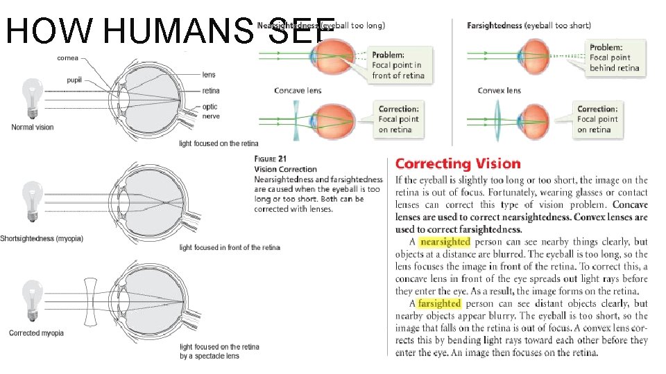 SIGHT COLOR LENSES AND MIRRORS December 4 th