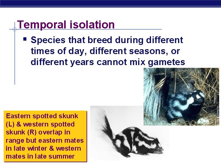 Chapter 24 The Origin of Species AP Biology