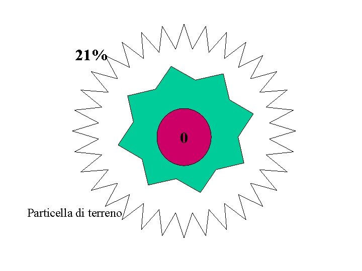 Risorse Carbonio organico CO 2 Azoto organico inorganico