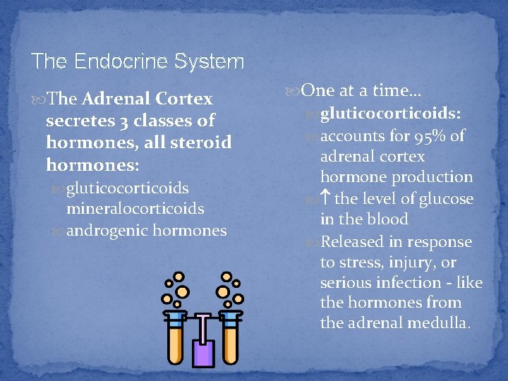 Endocrine Metabolic System Chapter 10 Pathology The Endocrine