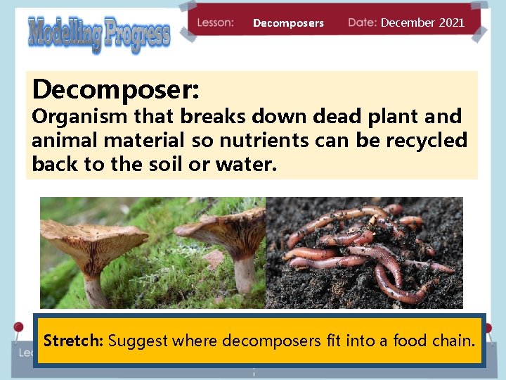 Decomposers Last Lesson 1 Define biocontrol 2 State