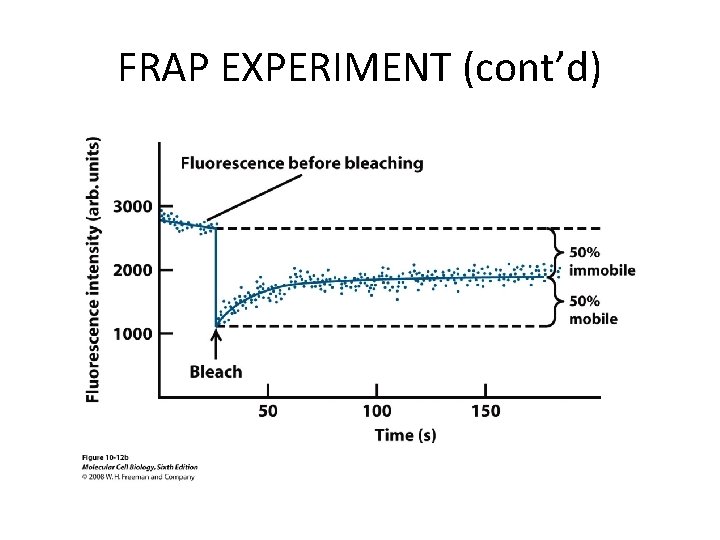 MEMBRANE STRUCTURE LECTURE 4 CHAPTER 10 LIPID CLASSIFICATION