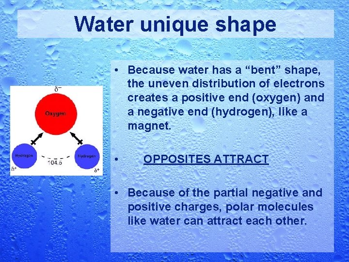 Properties of water Objective To be able to