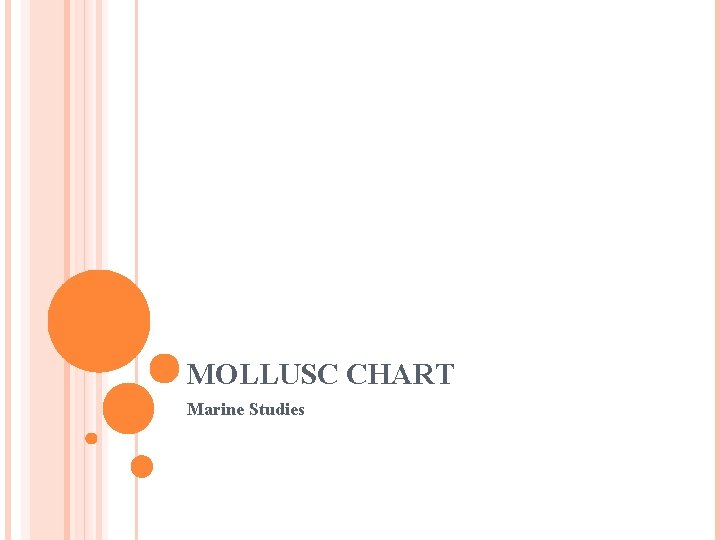 MOLLUSC CHART Marine Studies GASTROPODS SNAILS Description Stomach
