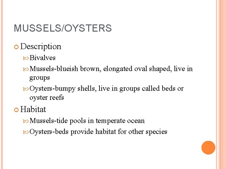 MOLLUSC CHART Marine Studies GASTROPODS SNAILS Description Stomach