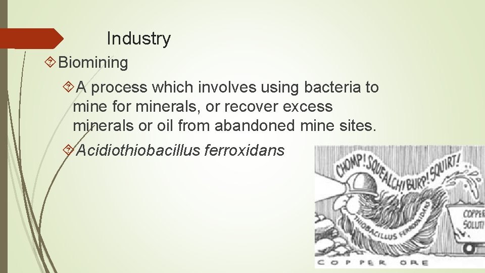 Bacteria Friend or foe Bacteria friend or foe