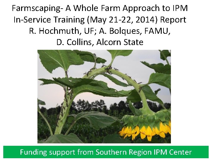 Farmscaping A Whole Farm Approach to IPM InService