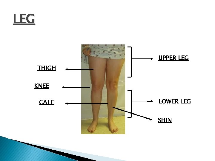 HUMAN BODY By Wahyu Adri Wirawati MA Institute