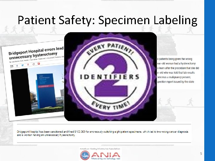 An Interprofessional Approach to Replacing a Laboratory Information