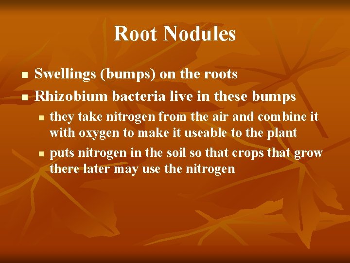 All about Plants The importance of plants n