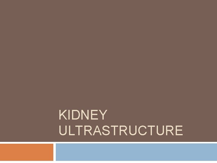 KIDNEY ULTRASTRUCTURE Spec c i the structure mechanisms