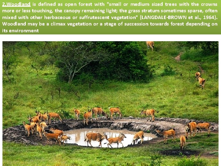 Ugandan Forestry PRESENTED BY Mukiibi Robert Introduction Uganda