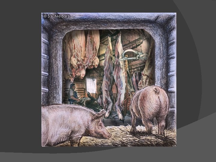 CARCASS UTILIZATION DEFINITION Carcass the dead body of