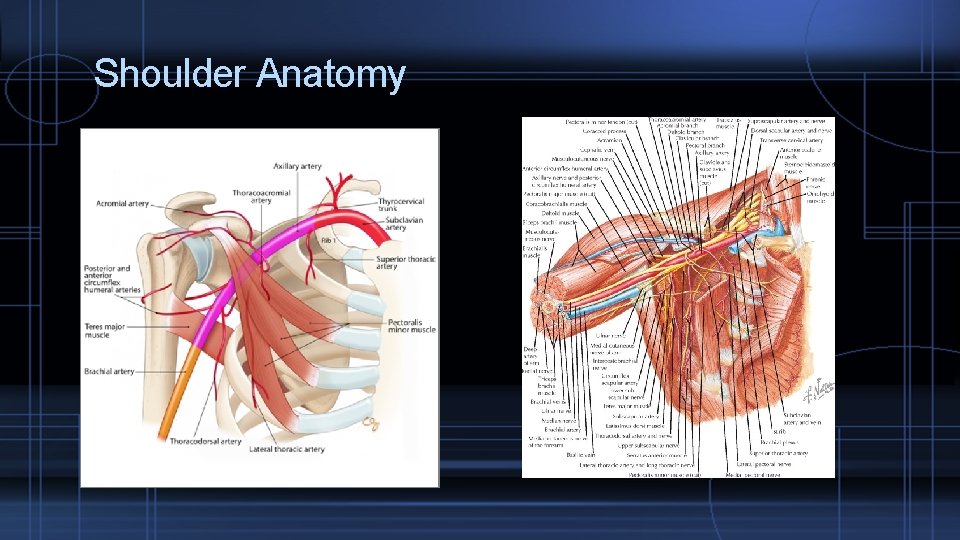 PERIPHERAL JOINTS PATHOLOGY AND TREATMENT Benjamin Bonte MD