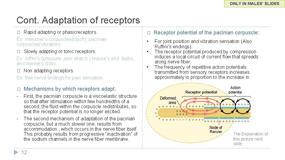 Text Important Formulas Numbers Doctor notes Notes and