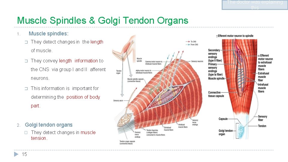 Text Important Formulas Numbers Doctor notes Notes and