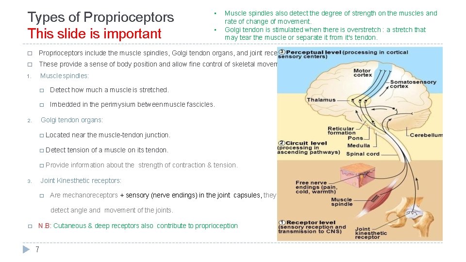 Text Important Formulas Numbers Doctor notes Notes and