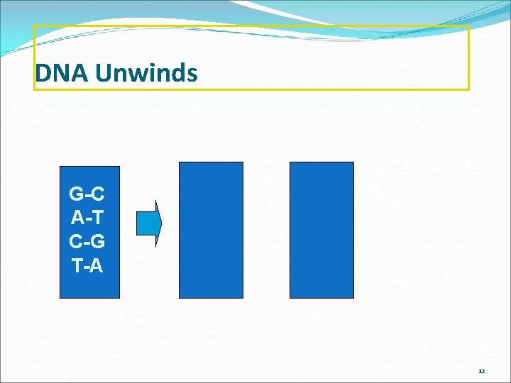Nucleic Acids Not considered a nutrient macromolecule They