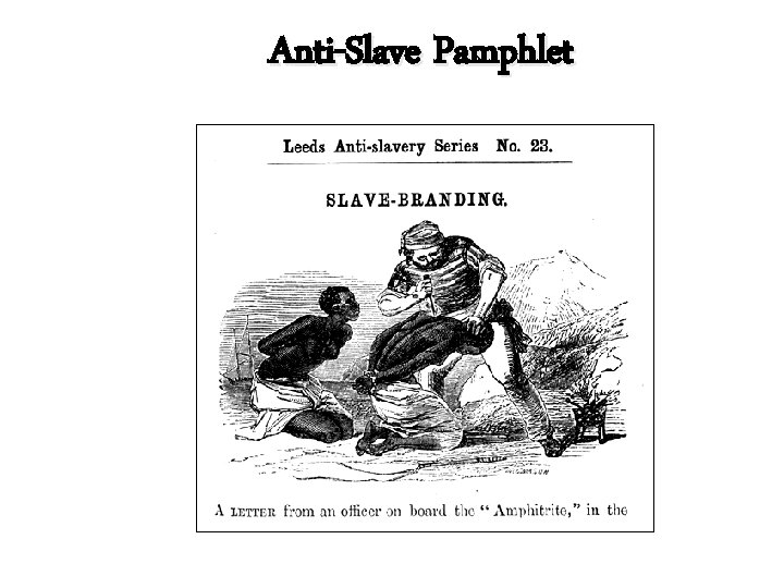 Briefly describe what you see in this photo