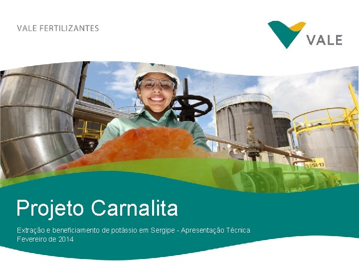 Presentation Title Ms 00 0000 Projeto Carnalita Extrao