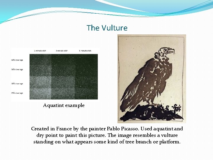 San Diego Museum of Art By Diego Castan