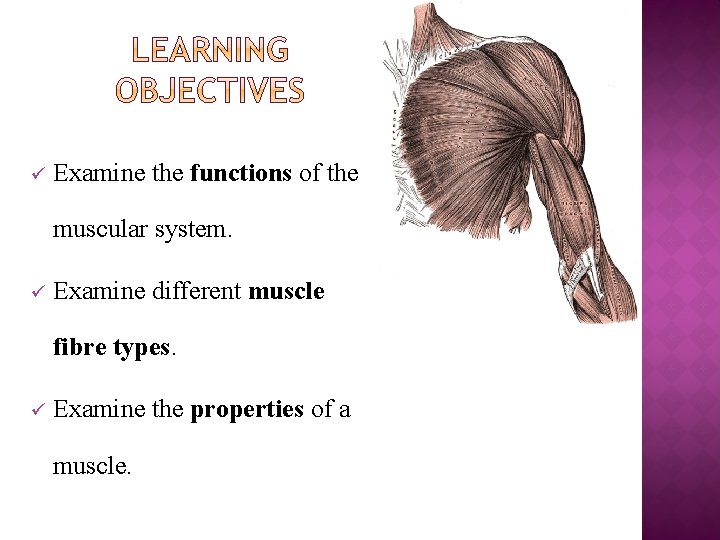 PSK 4 U Unit 4 Slides available online