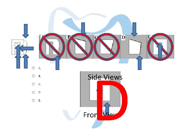 Dental Admissions Test Overview and Strategies Anatomy of