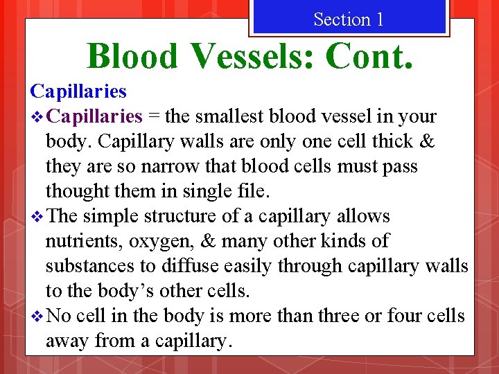 Circulation Respiration Chapter 20 Section 1 The Cardiovascular