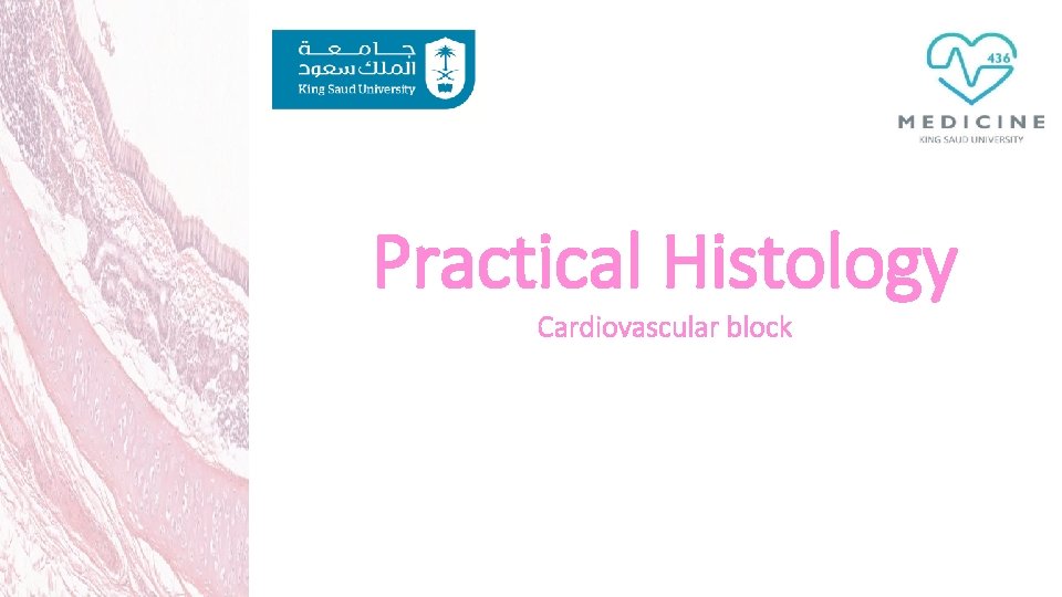Practical Histology Cardiovascular block Things you need to