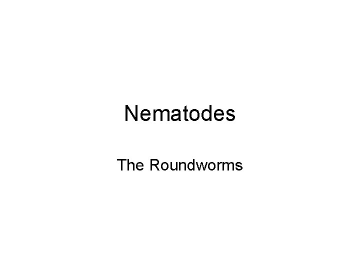 Nematodes The Roundworms Characteristics Round cross section First