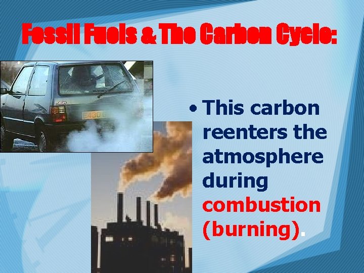 Carbon Cycle Exchange of carbon between environment living