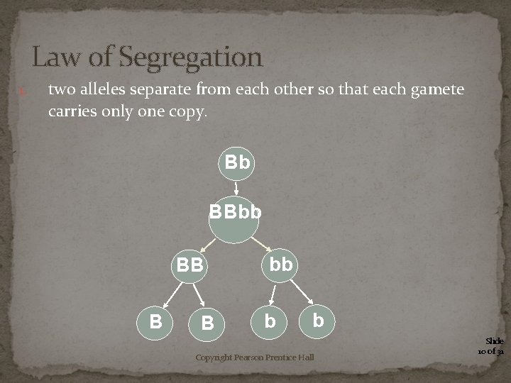 Gregor Mendels Laws Law of Segregation Law of