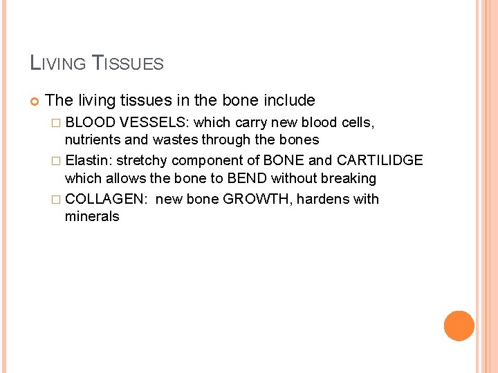 FIRM BUT FLEXIBLE Components of Bone Powerpoint Adapted