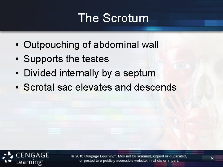 Chapter 19 The Reproductive System 2 Introduction Reproduction