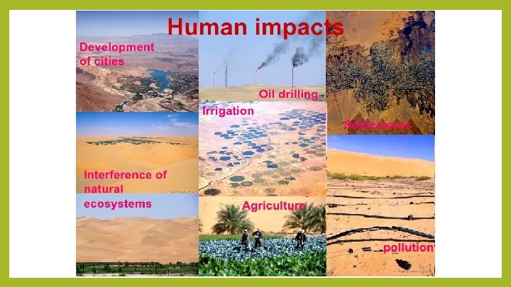 BIOMES OF THE WORLD What are Biomes Biomes