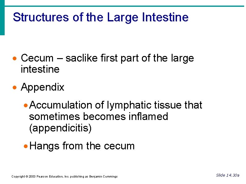 Large Intestine Figure 14 8 Copyright 2003 Pearson