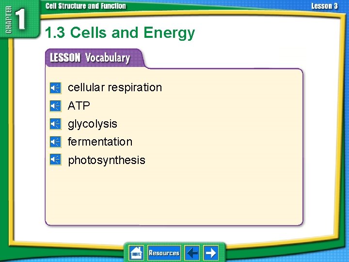1 3 Cells and Energy cellular respiration ATP