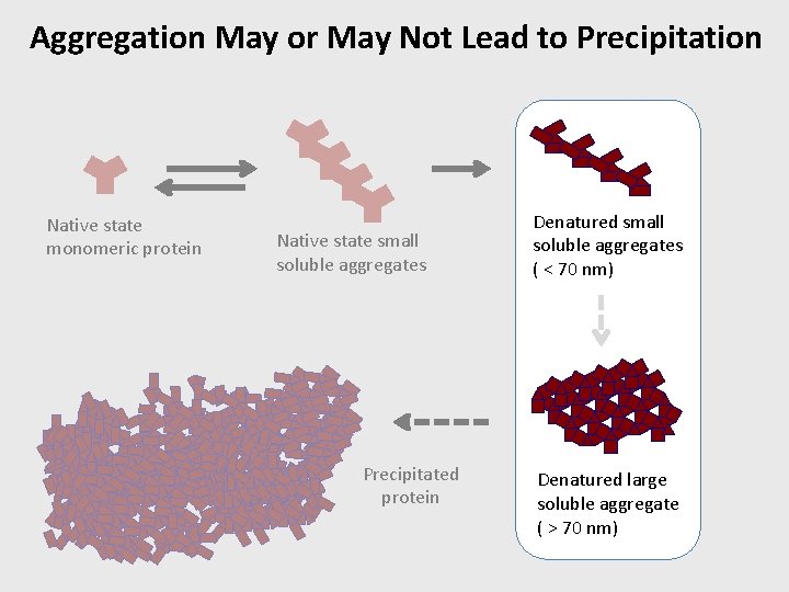 Protein Instability Following Transport on Dry Ice Implications
